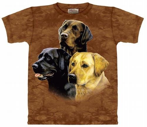 koszulka THE MOUNTAIN - LAB CHOCOLATE-M - The Mountain | Moda Sklep ...