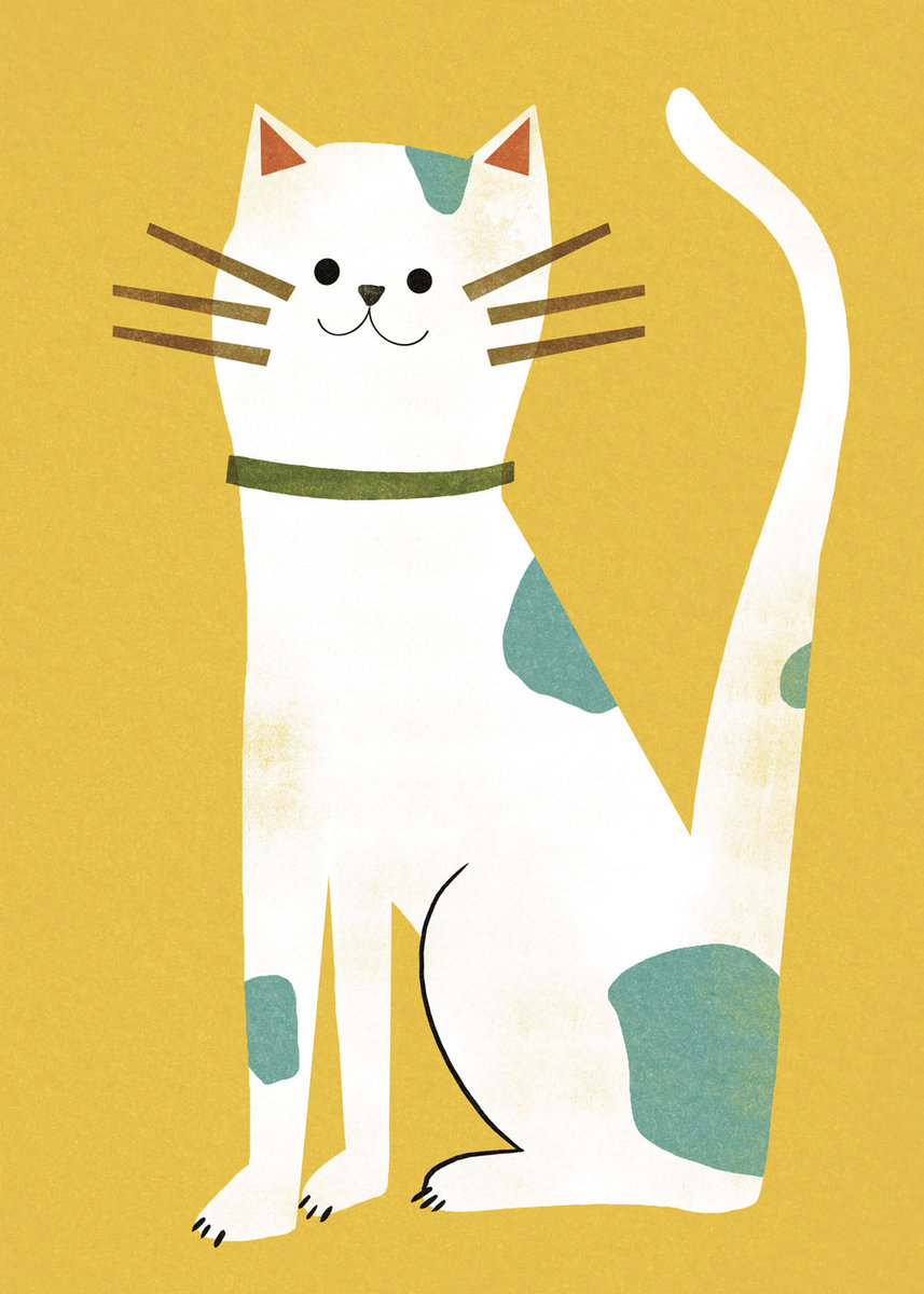 Kot - plakat 70x100 cm - Inna marka | Sklep EMPIK.COM