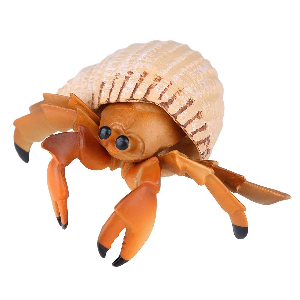 Krab pustelnik zabawka bezpieczna symulacja edukacyjna zwierzę morskie ...