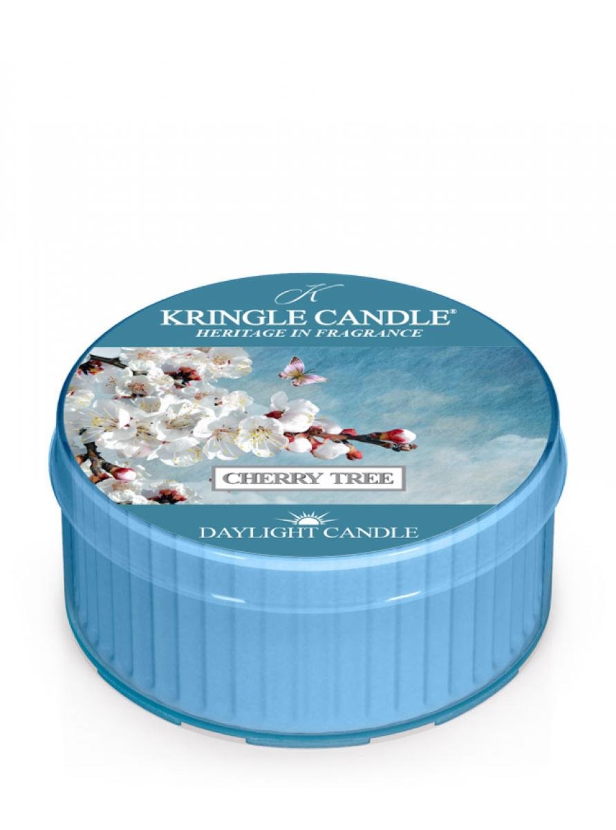 Kringle Candle - Cherry Tree - Świeczka Zapachowa - Daylight (42G ...
