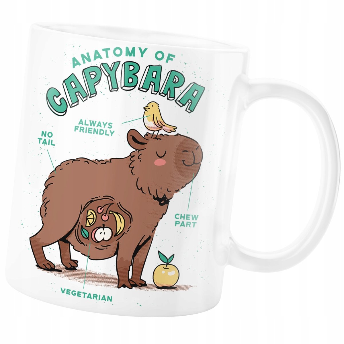 KUBEK ANATOMIA KAPIBARY ŚMIESZNE ANATOMY OF CAPYBARA ...