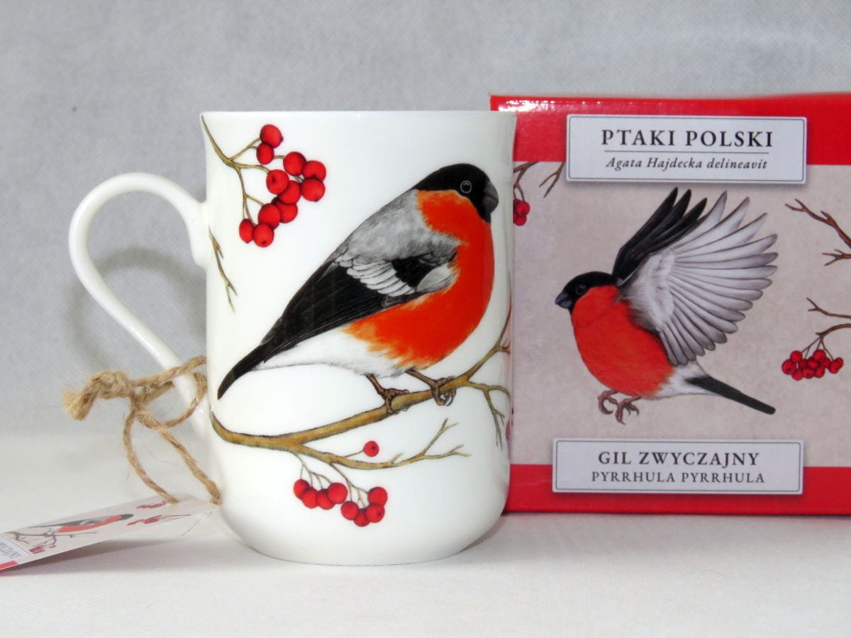 Kubek porcelanowy GIL/PTAKI POLSKI by Agata Hajdecka 300 ml MCP - Marco ...