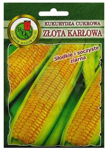 Kukurydza cukrowa Złota karłowa 20 g PNOS - PNOS | Sklep EMPIK.COM