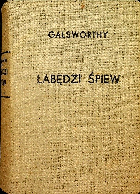 Łabędzi Śpiew - W opisie | Książka w Empik