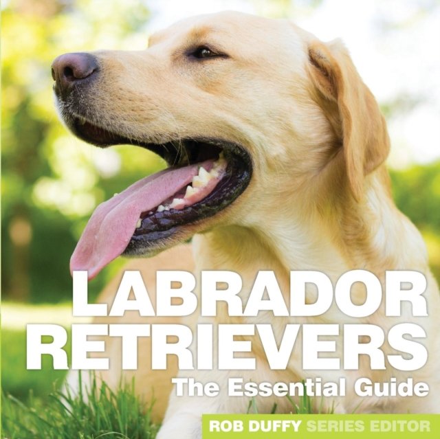 Labrador Retrievers: The Essential Guide - Robert Duffy | Książka w Empik