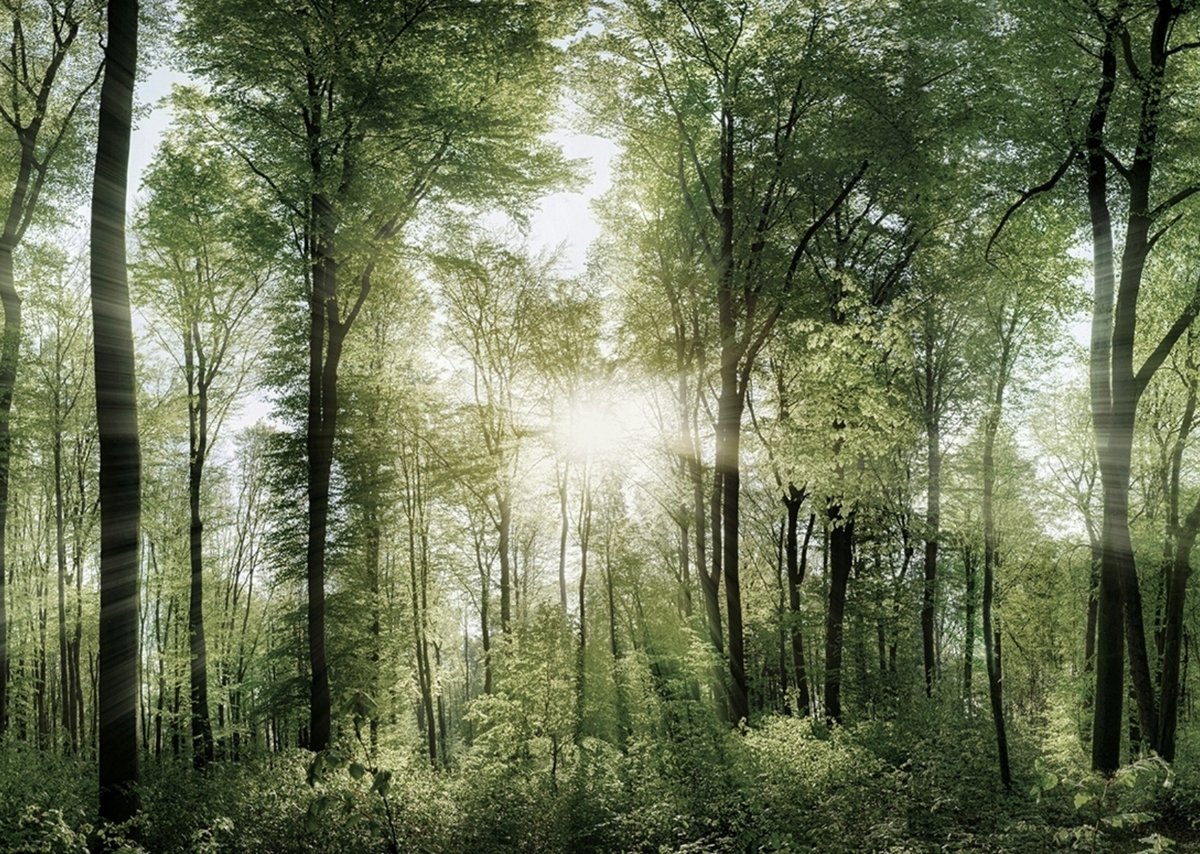 LAS Słońce Plakat 100x70 cm - Atram | Sklep EMPIK.COM