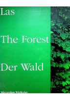 Las The Forest Der Wald - Wieliczko Mieczysław | Książka w Empik