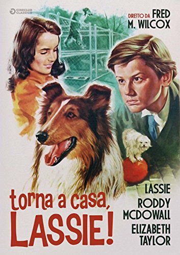 Lassie Come Home (Lassie wróć) - Various Directors| Filmy Sklep EMPIK.COM