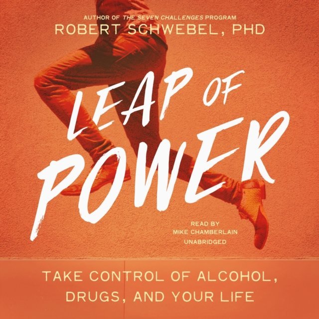 Leap of Power - audiobook - Schwebel Robert | Audiobook Sklep EMPIK.COM