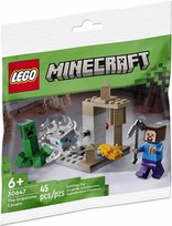 Lego 30647 Minecraft - Jaskinia Naciekowa - LEGO | Sklep EMPIK.COM