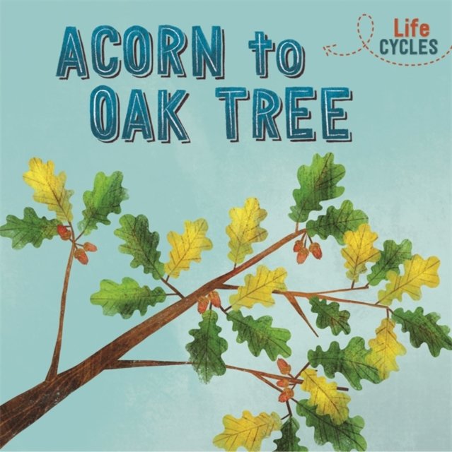 Life Cycles: Acorn to Oak Tree - Rachel Tonkin | Książka w Empik