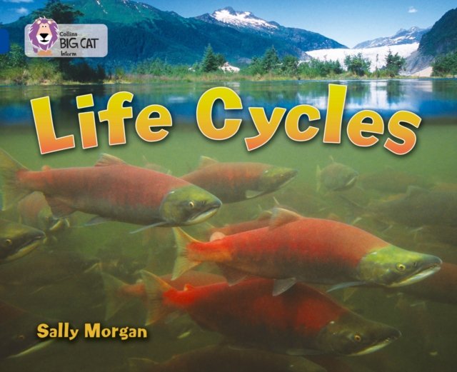 Life Cycles: Band 16Sapphire - Morgan Sally | Książka w Empik