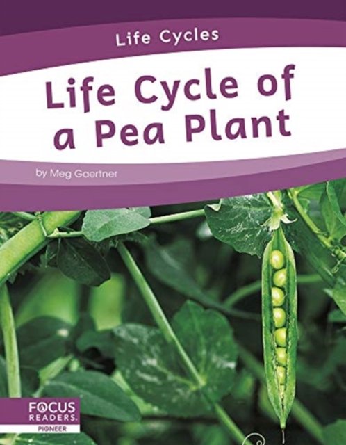 Life Cycles: Life Cycle of a Pea Plant - Meg Gaertner | Książka w Empik
