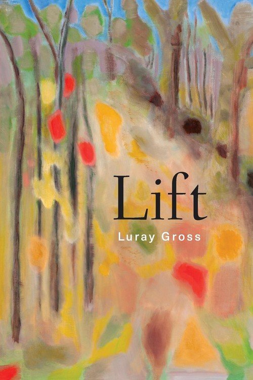 Lift - Gross Luray | Książka w Empik
