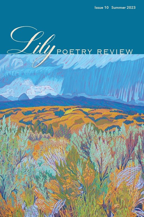 Lily Poetry Review Issue 10 - Martha McCollough | Książka w Empik
