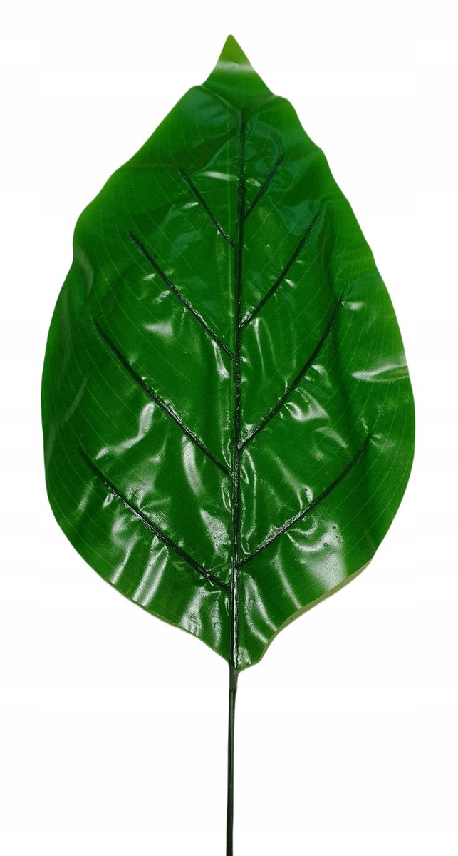 LIŚĆ GUMOWANY ZIELONY 68CM 12 SZT - Kwiatex | Sklep EMPIK.COM