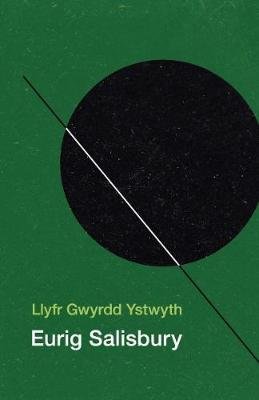 Llyfr Gwyrdd Ystwyth - Eurig Salisbury | Książka w Empik