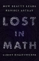 Lost in Math - Hossenfelder Sabine | Książka w Empik