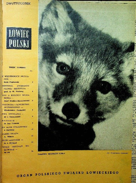 Łowiec Polski 1958 Nr 2 do 24 - W opisie | Książka w Empik