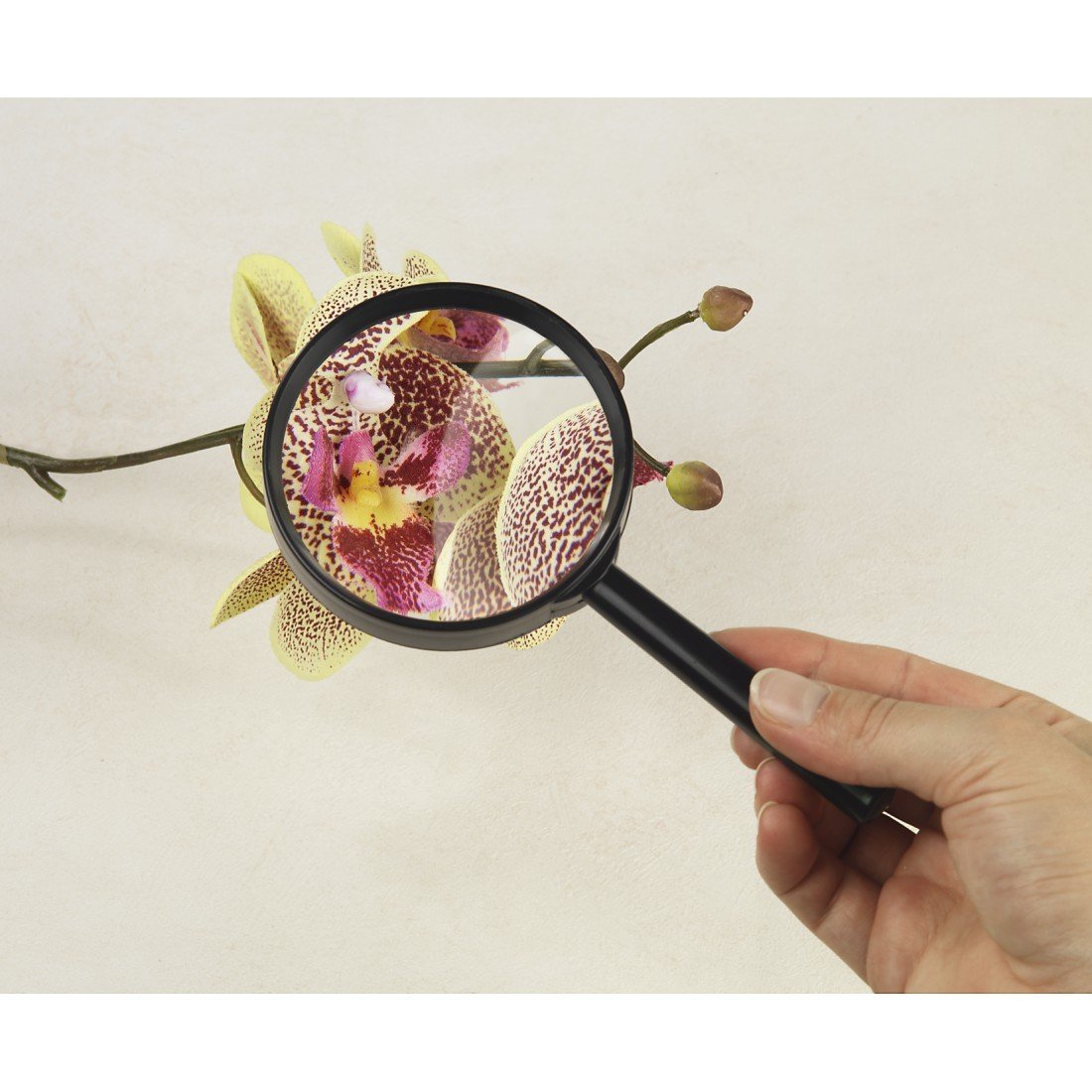 LUPA \"BASIC 75\" - DISPLAY 12 SZT. - Hama | Sklep EMPIK.COM