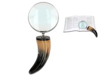 Lupa - Carmani | Sklep EMPIK.COM