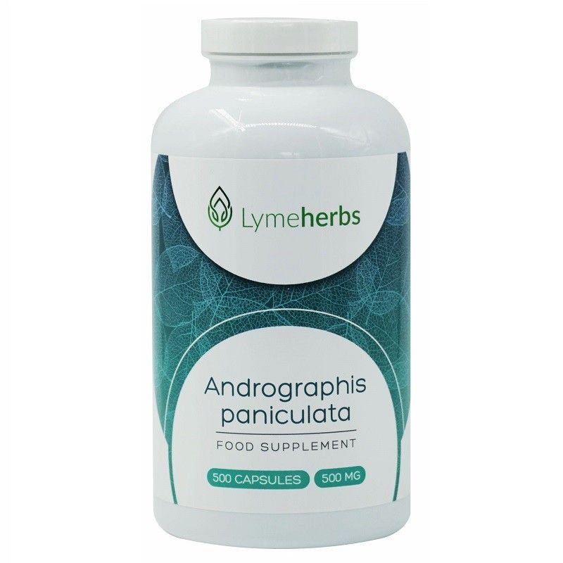 Lymeherbs, Andrographis paniculata 500 mg, 500 kaps. | Sklep EMPIK.COM