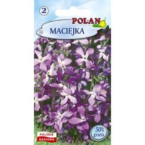 Maciejka Polan - Polan | Sklep EMPIK.COM