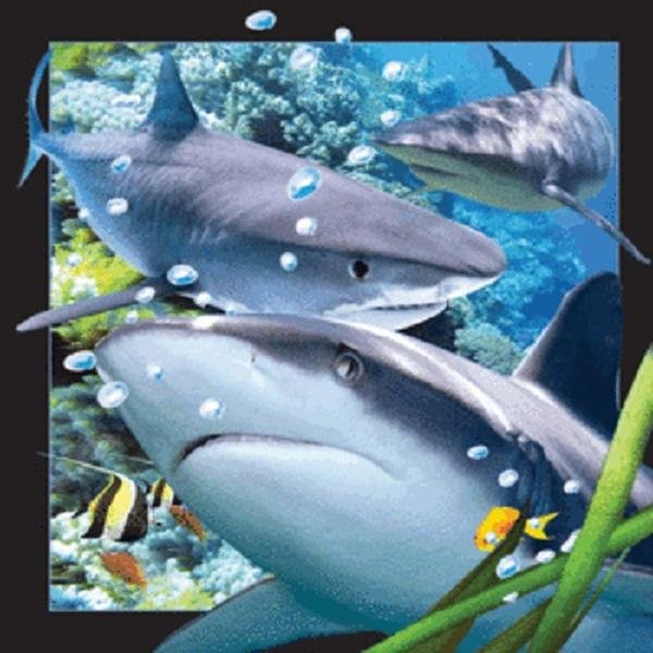 Magnes 3D - Rekin - Worth Keeping | Sklep EMPIK.COM