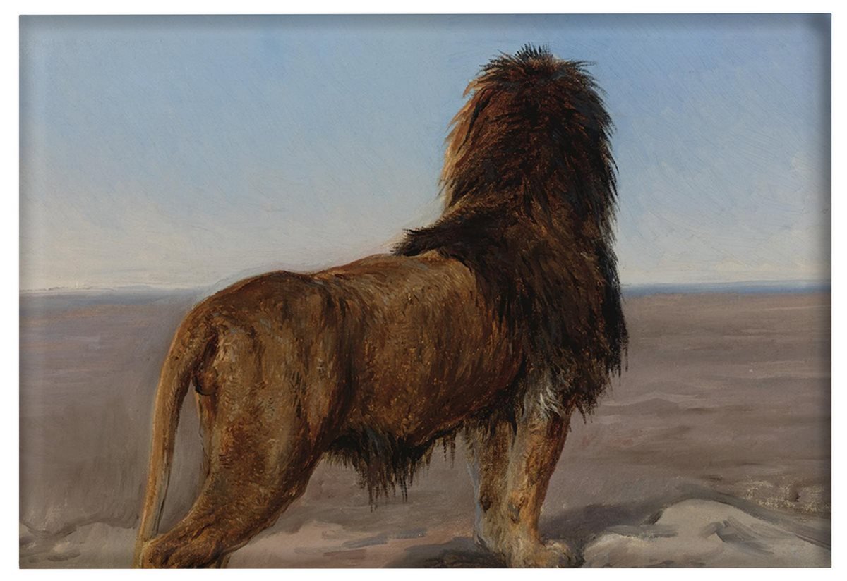 Magnes Lew Rosa Bonheur - Inna marka | Sklep EMPIK.COM