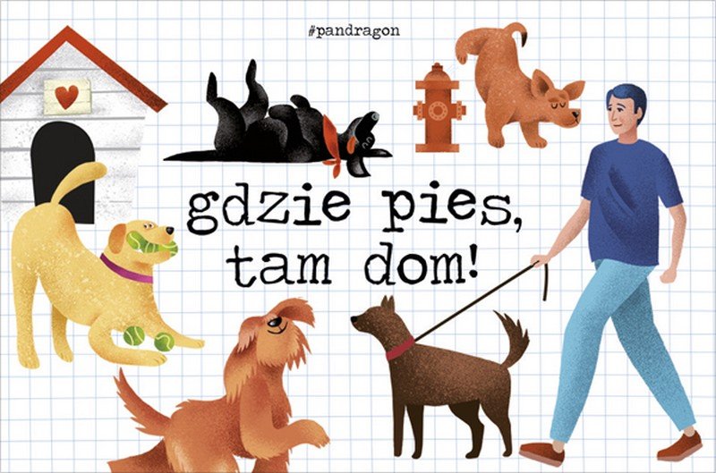 Magnes, MIKO, gdzie pies tam dom - Pan Dragon | Sklep EMPIK.COM