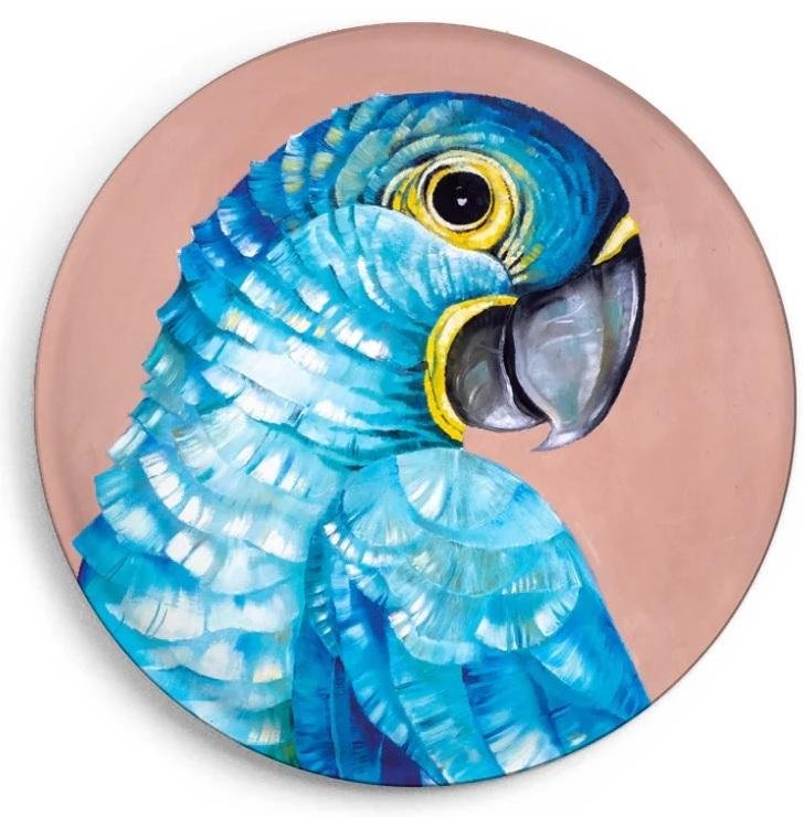 Magnes Modroara hiacyntowa - Inna marka | Sklep EMPIK.COM