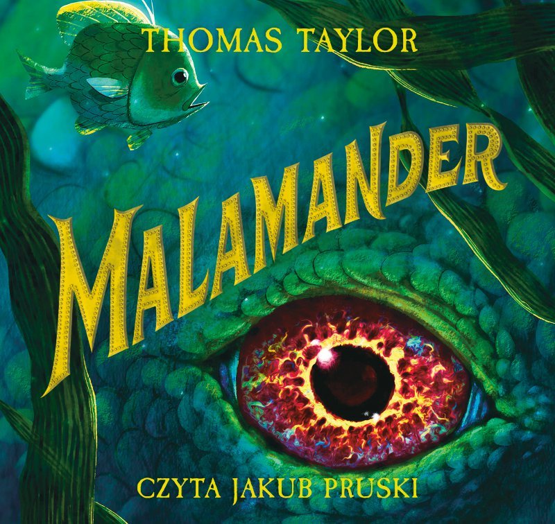 Malamander - audiobook - Thomas Taylor | Audiobook Sklep EMPIK.COM