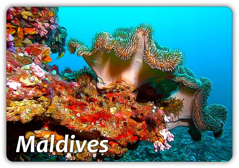 MALEDIWY - Ocean - Rafa koralowa - Magnes na lodówkę - Subliproject ...