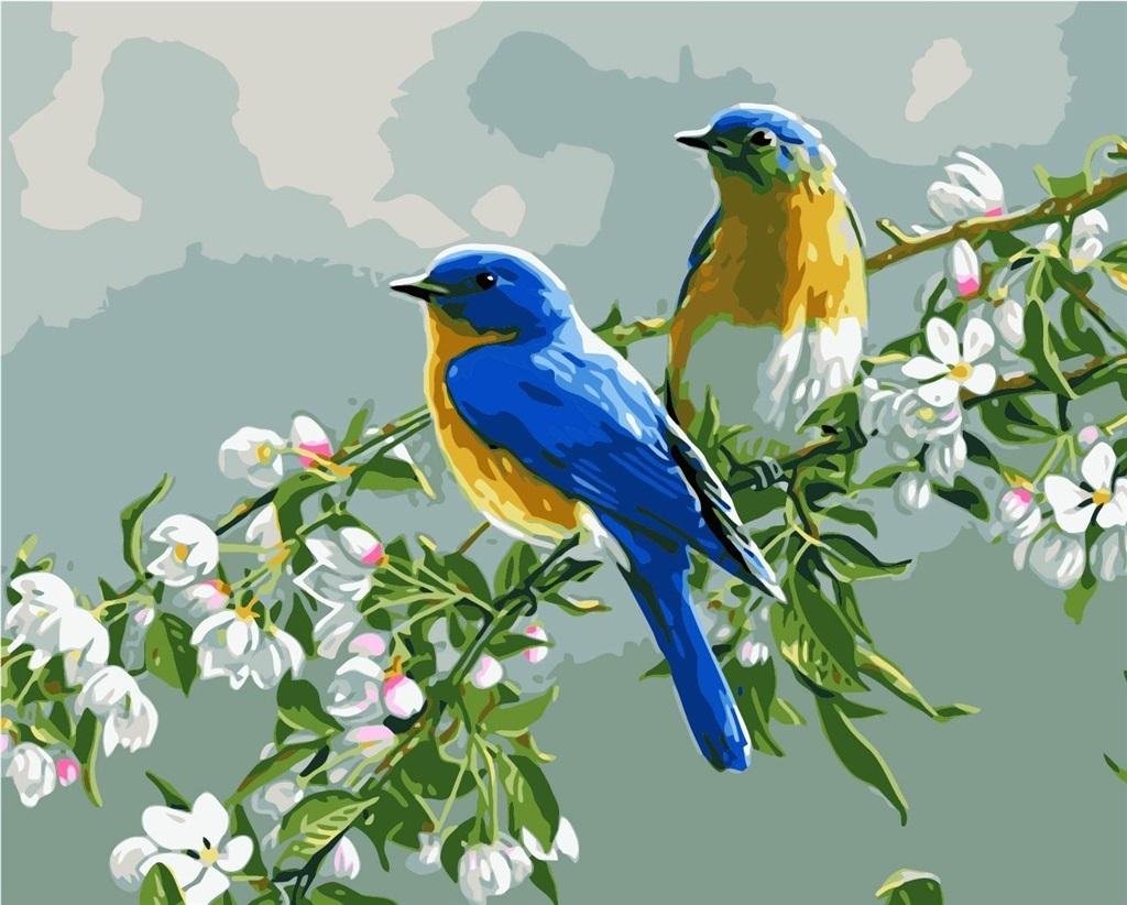 Malowanie po numerach - 40x50cm Ptaki - Inna marka | Sklep EMPIK.COM