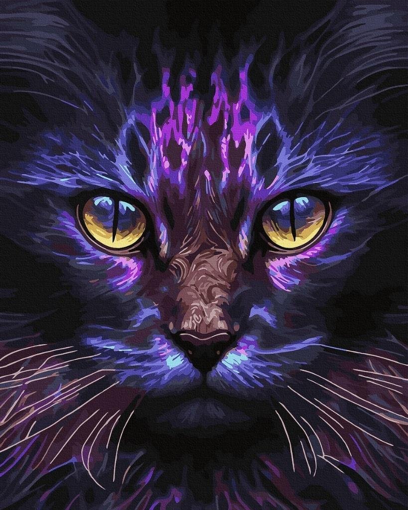 Malowanie po numerach czarne płótno - Magiczny Kot - Inna marka | Sklep ...