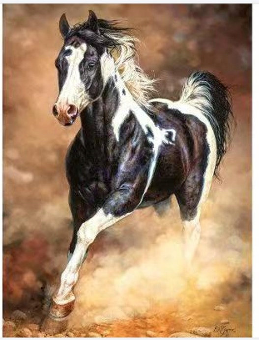 Malowanie Po numerach Koń Galop W Piachu 40cmx50cm - Norimpex | Sklep EMPIK.COM