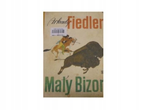 Mały Bizon - Fiedler Arkady Paweł | Książka w Empik