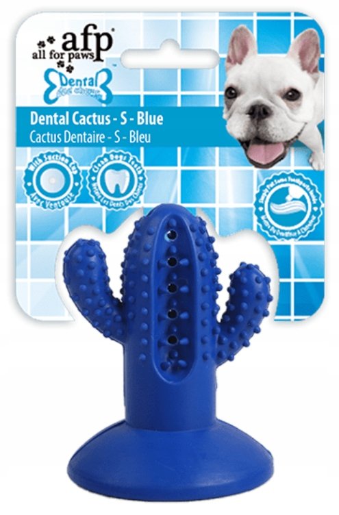 Mały gumowy kaktus AFP Dental - Niebieski - inna (Inny) | Sklep EMPIK.COM