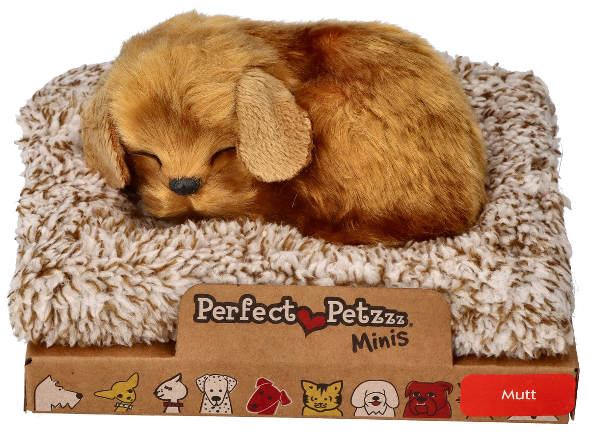 Mały Kundelek Perfect Petzzz - Perfect Petzzz | Sklep EMPIK.COM