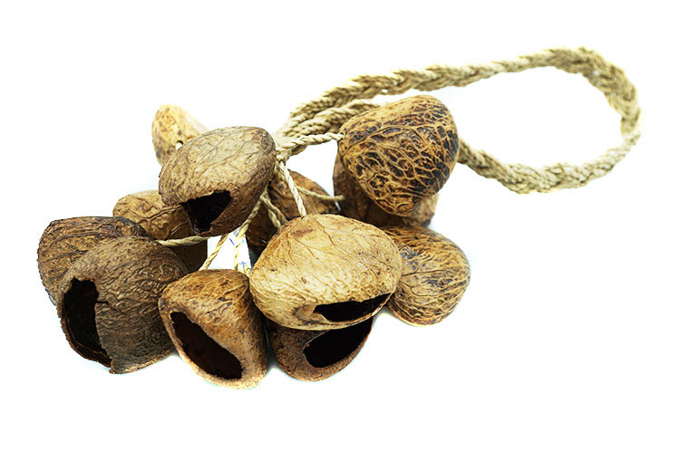 Marakas Grzechotka Daktyle Instrument Indonezja - Jakarta | Sklep EMPIK.COM