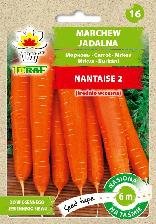 Marchew Nantaise 2 (Śr. Wczesna, ) - Toraf | Sklep EMPIK.COM