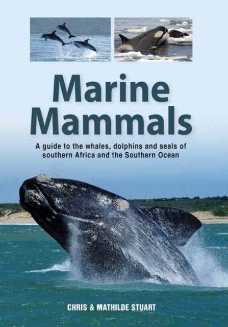 Marine Mammals: A Guide to the Whales, Dolphins and Seals of Southern ...