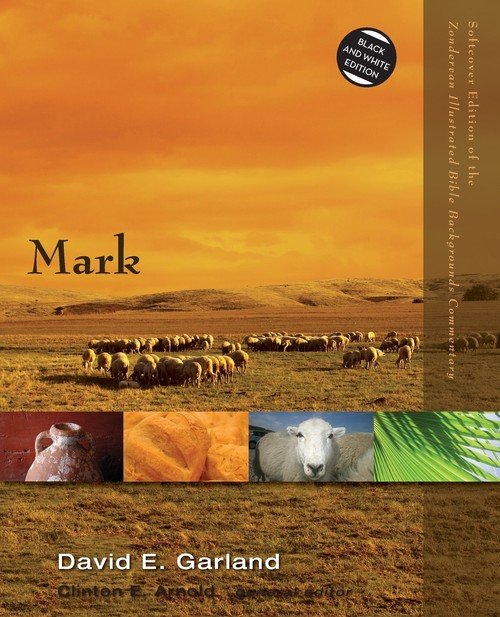Mark - Garland David E. | Książka w Empik