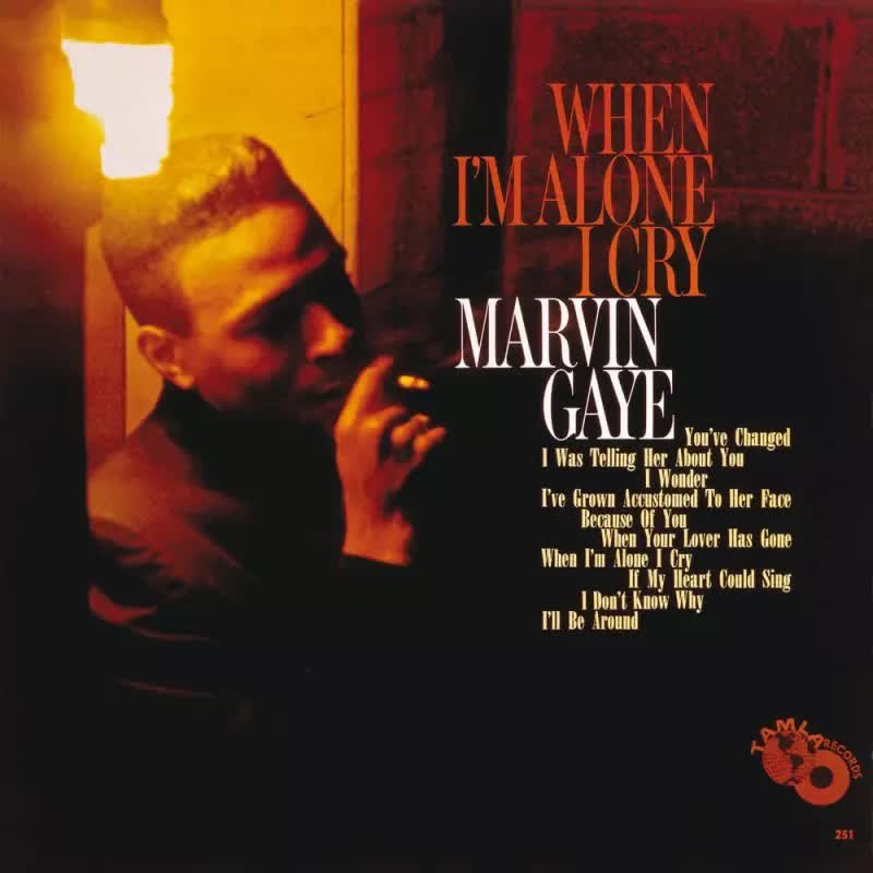 Marvin Gaye: When I'm Alone I Cry Mono Edition Black Vinyl, płyta ...