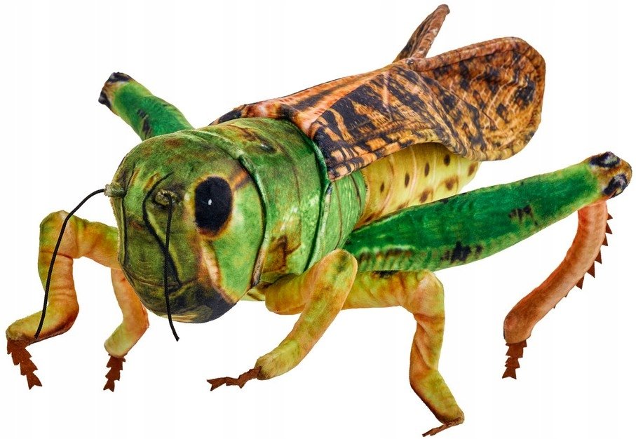 Maskotka Konik Polny - 41cm - Beppe | Sklep EMPIK.COM
