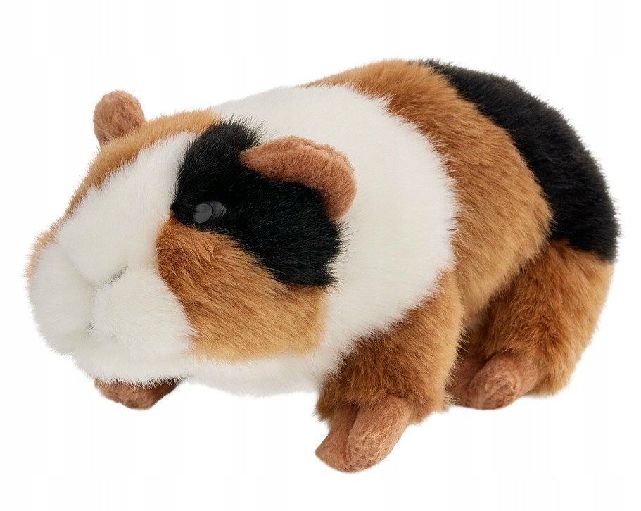 Maskotka Świnka Morska Realistyczna - 18Cm - Beppe | Sklep EMPIK.COM