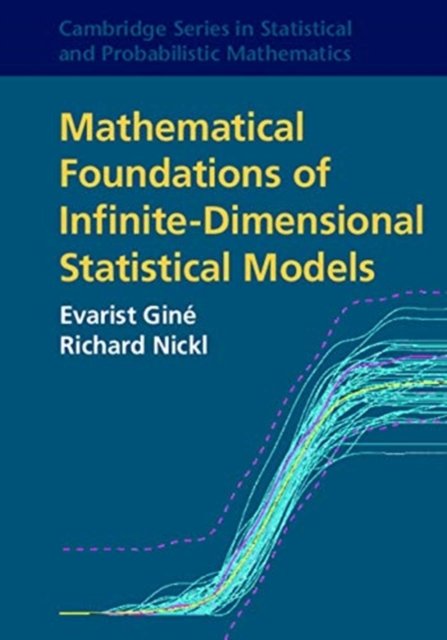 Mathematical Foundations Of Infinite Dimensional Statistical Models