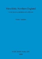 Mesolithic Northern England - Spikins Penny | Książka w Empik