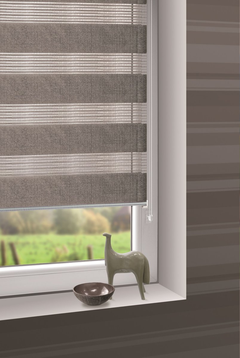 Mini roleta ZEBRA CLASSIC Dzień/Noc popielata 68 cm x 215 cm - SunPro24 ...