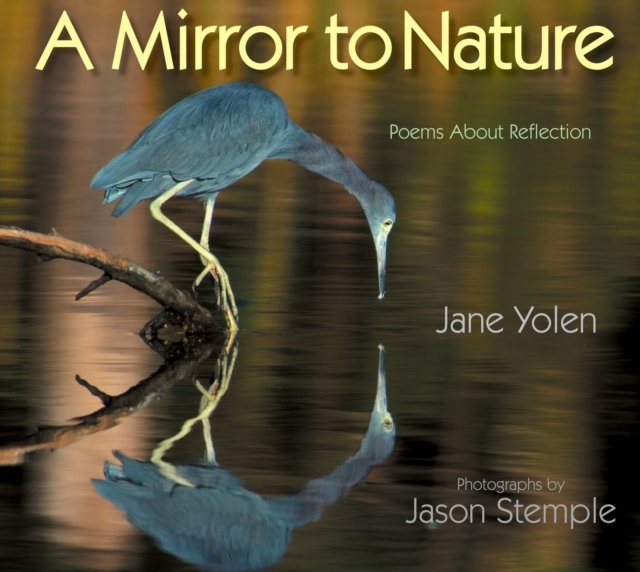 Mirror to Nature, A. Poems about Reflection - Yolen Jane | Książka w Empik